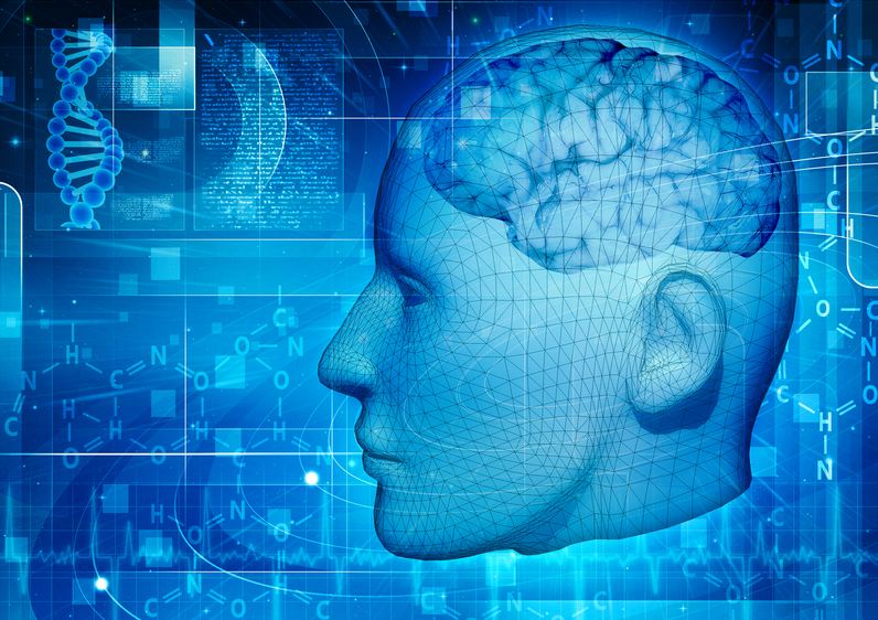 What Is Whole Brain Synchronization? - Ezilon Articles