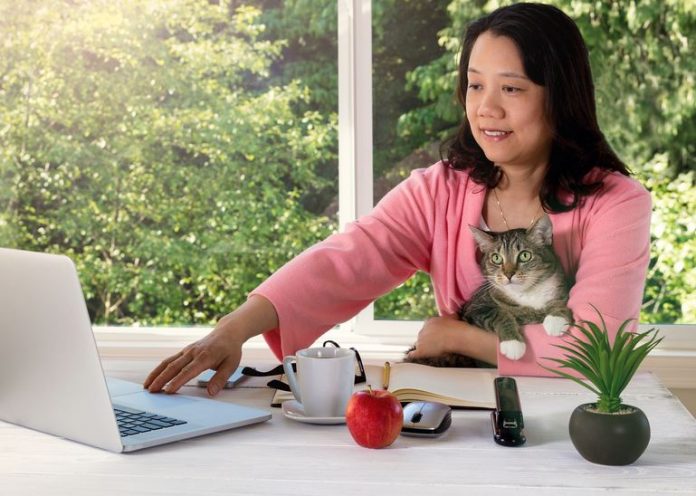 How To Start Advertising For Your Company - Ezilon Articles