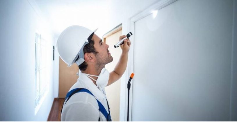 Useful Guide To Pest Inspection and Control - Ezilon Articles