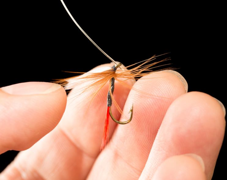 Bait Buying Guide For Beginners - Ezilon Articles