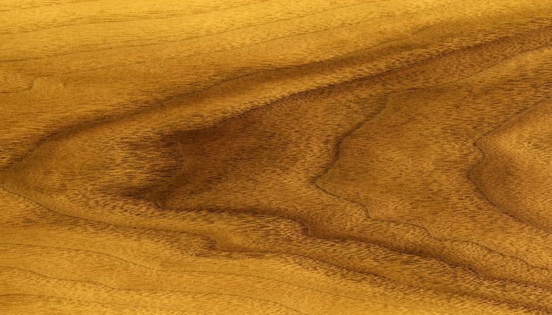 The Beauty Of Teak Wood - Ezilon Articles